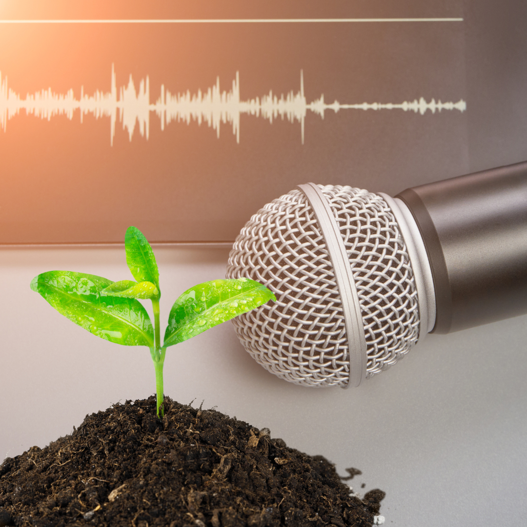 Can Plants Hear and Respond to Sounds? – Wasson Nursery