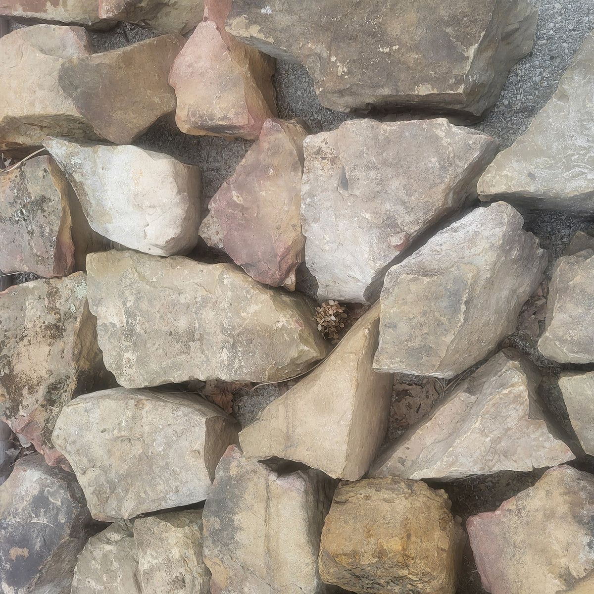 Arkansas Boulder 8-20" (Fishers Only) – Wasson Nursery