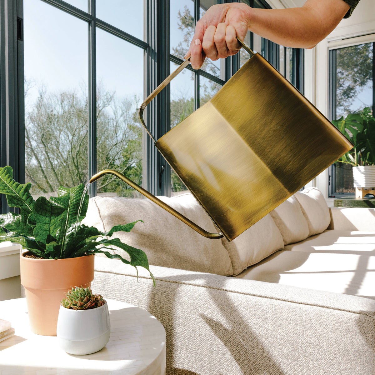 Modern Watering Can: Brass – Wasson Nursery