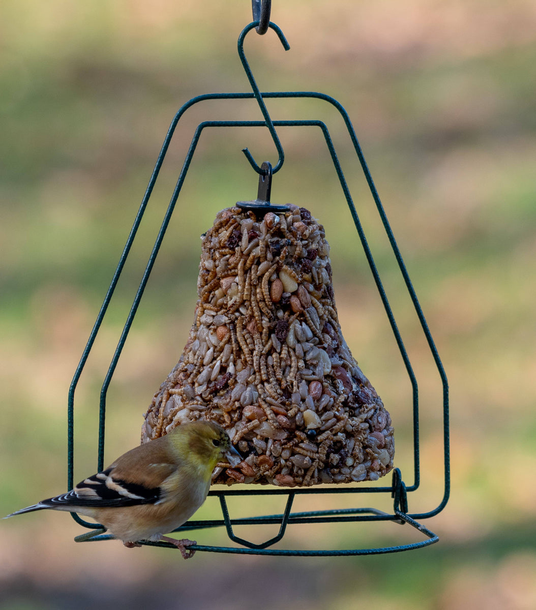 Bugs, Nuts & Fruit - Bell – Wasson Nursery