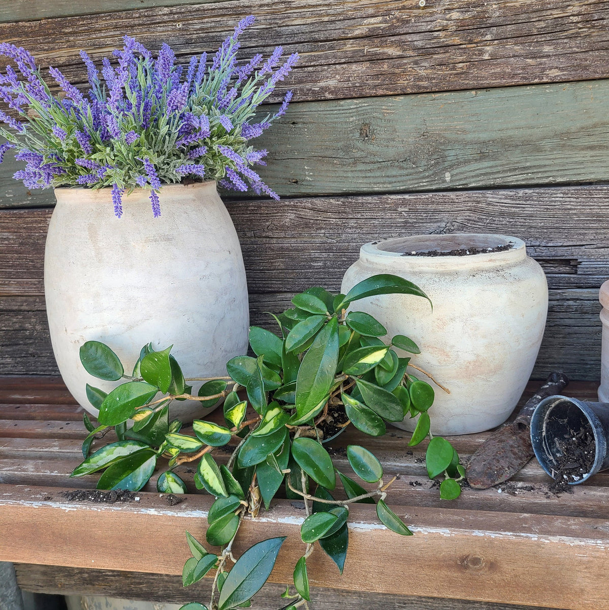 Anamese Olla Jar: Dual-use Planter & Irrigation Vessel – Wasson Nursery