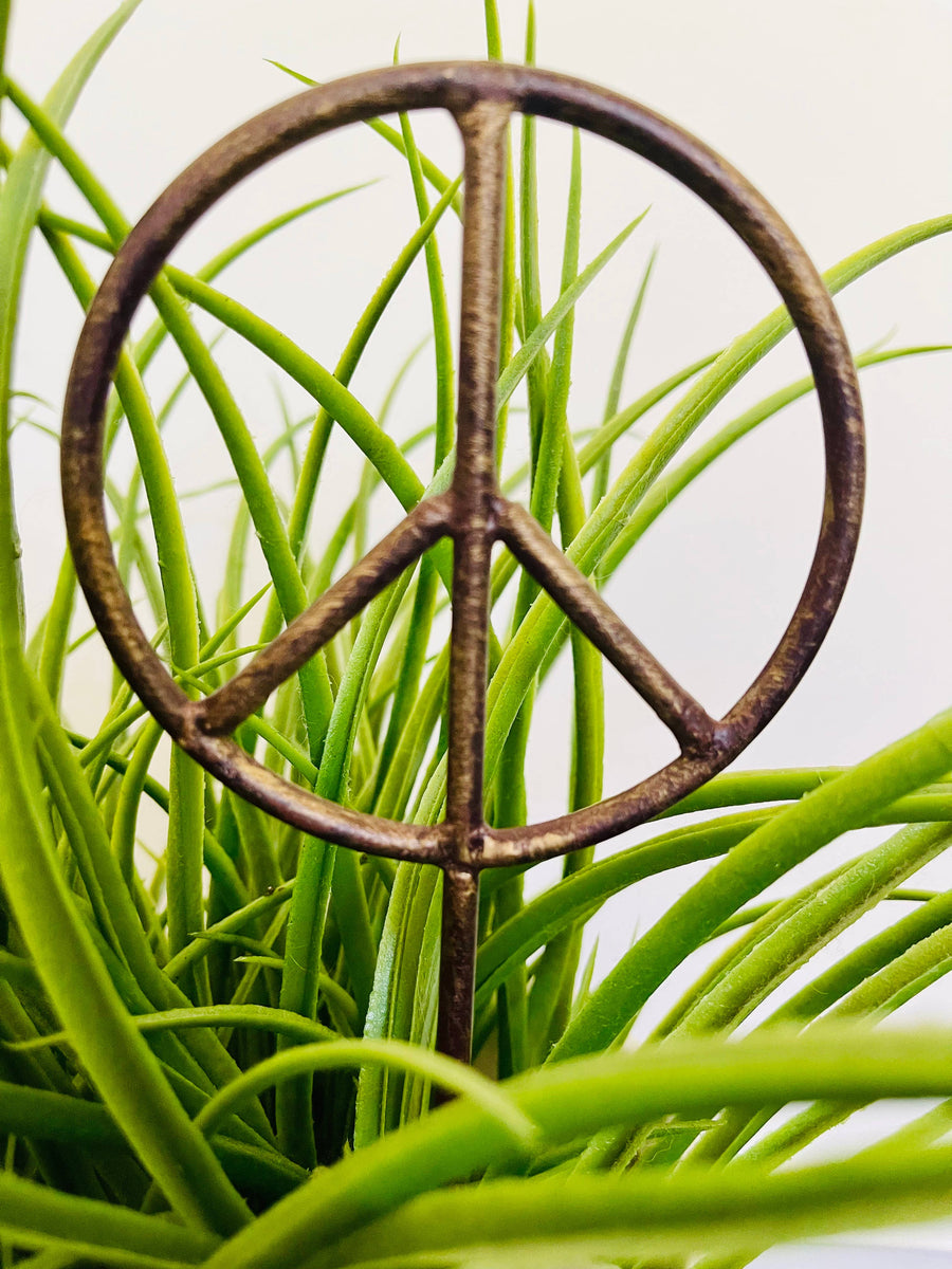 Peace Sign Symbol - Metal Garden or Plant Stakes for Pots!: 12 ...